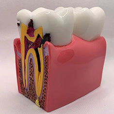 Denture Boxes – Lilac Dent